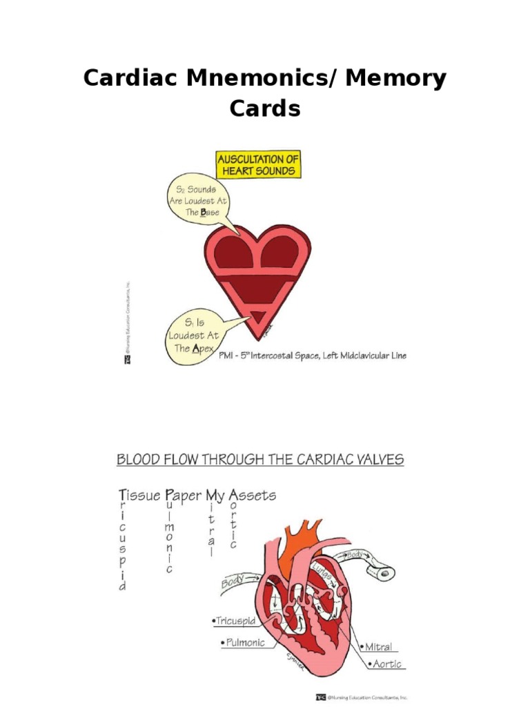 Cardiac Mnemonics/ Memory Cards | PDF