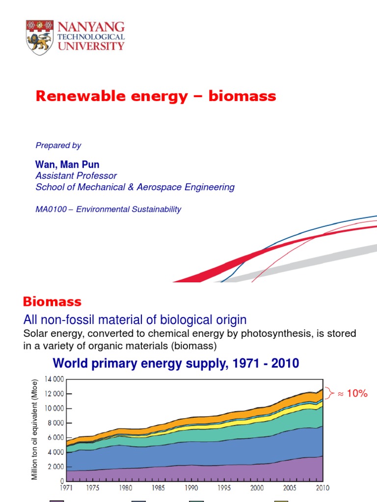 Biomass: Renewable Energy Sources Explained | PDF | Biodiesel ...