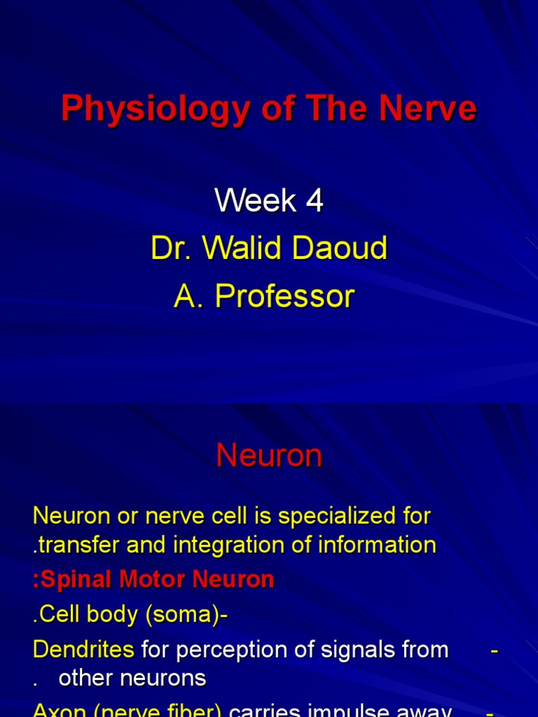 Nerve Physiology: Action Potentials & Properties | PDF | Membrane ...