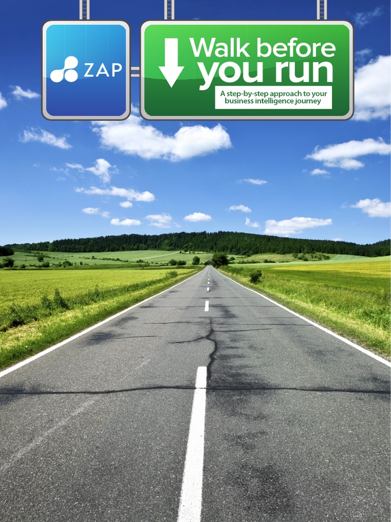 Walk Before You Run | PDF | Performance Indicator | Business Intelligence