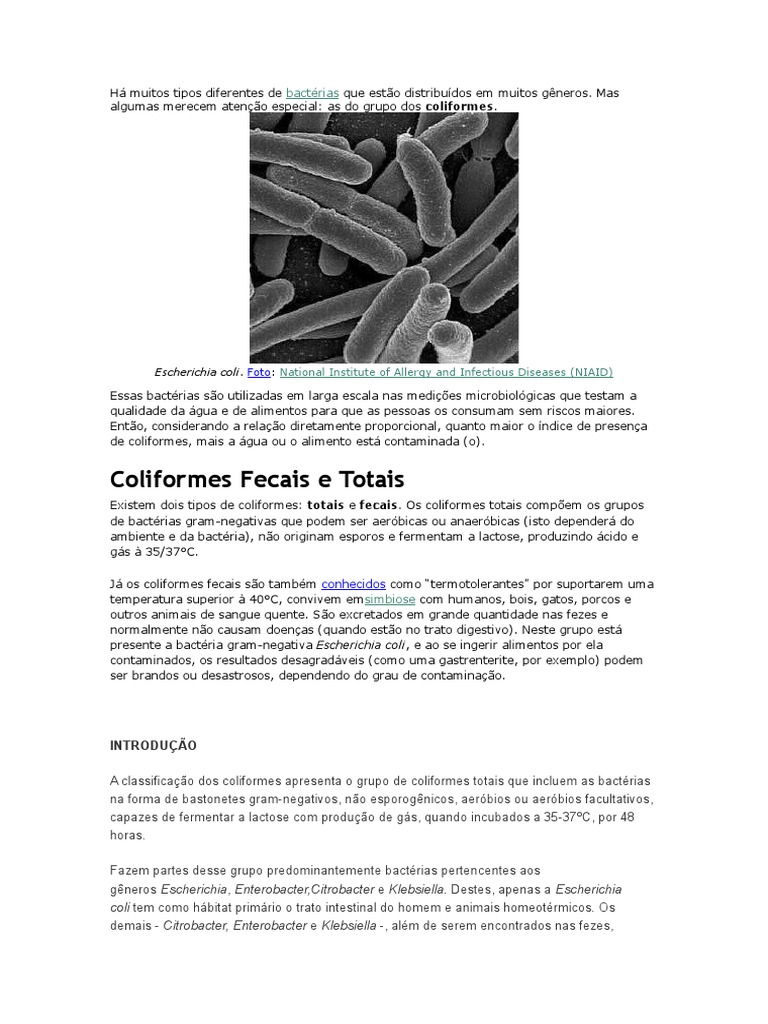 Coliformes Fecais e Totais: bactérias
