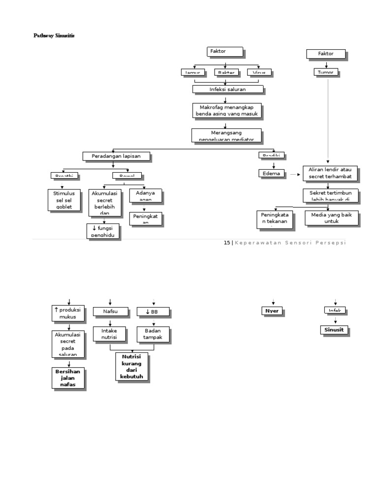Pathway Sinusitis | PDF