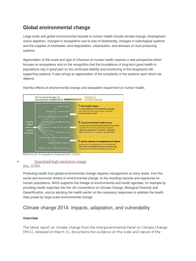 Global Environmental Change | PDF | Al Gore | Air Pollution
