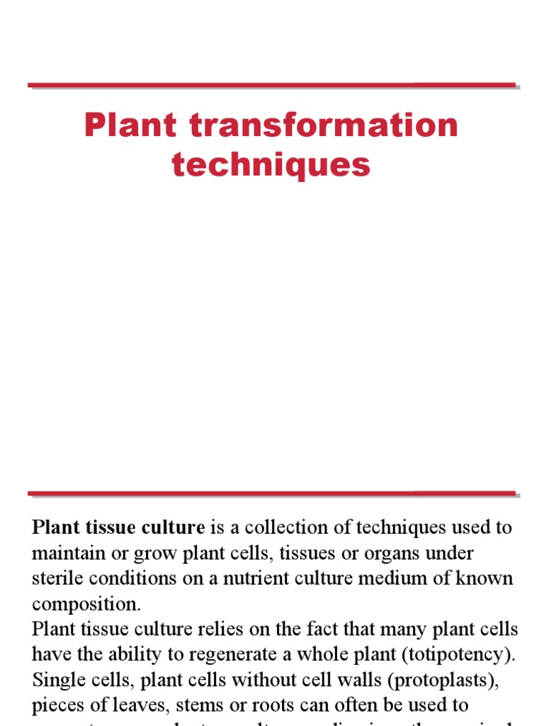 Plant Transformation Techniques | PDF | Genetics | Life Sciences