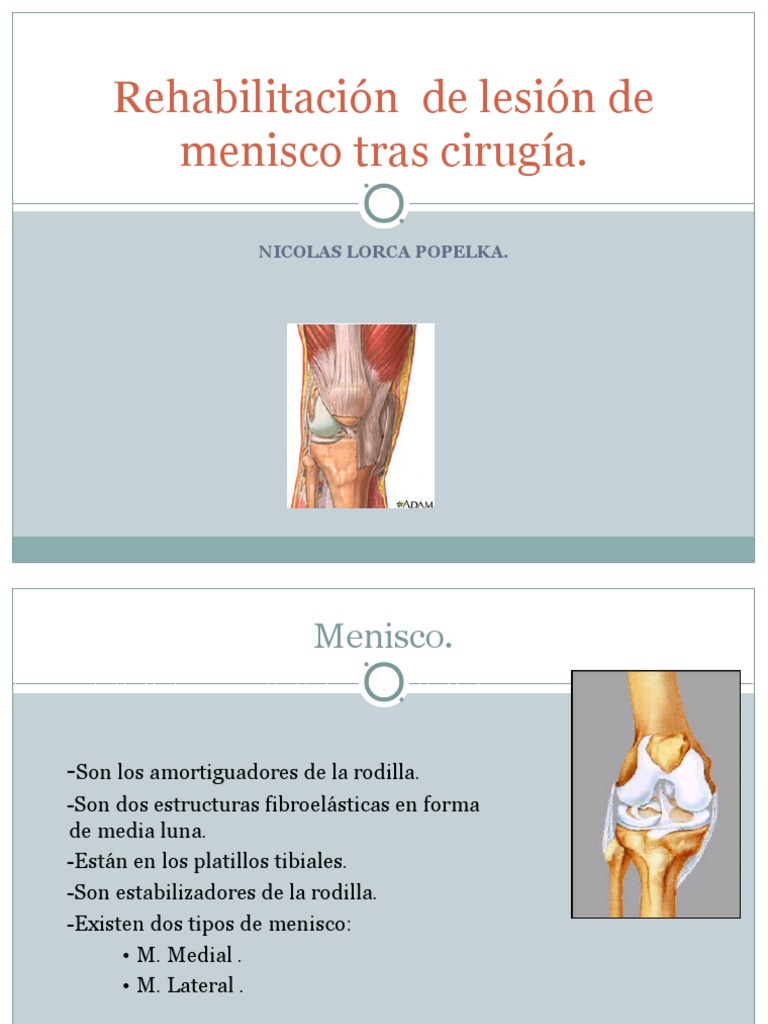 Menisco | Rodilla | Sistema musculoesquelético