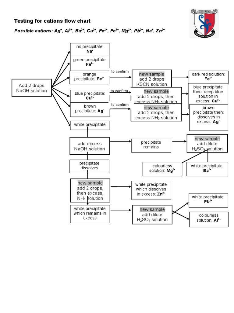Cation Testing Flow Chart | PDF | Precipitation (Chemistry ...