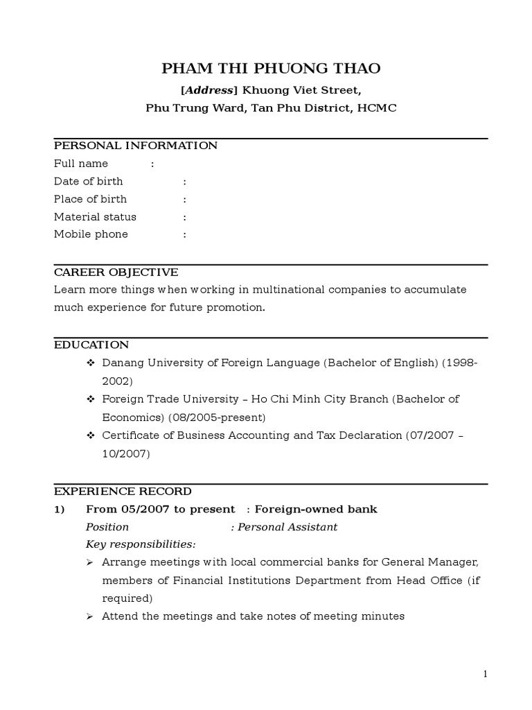 Mau Cv Bang Tieng Anh Curriculum Vitae Java Programming