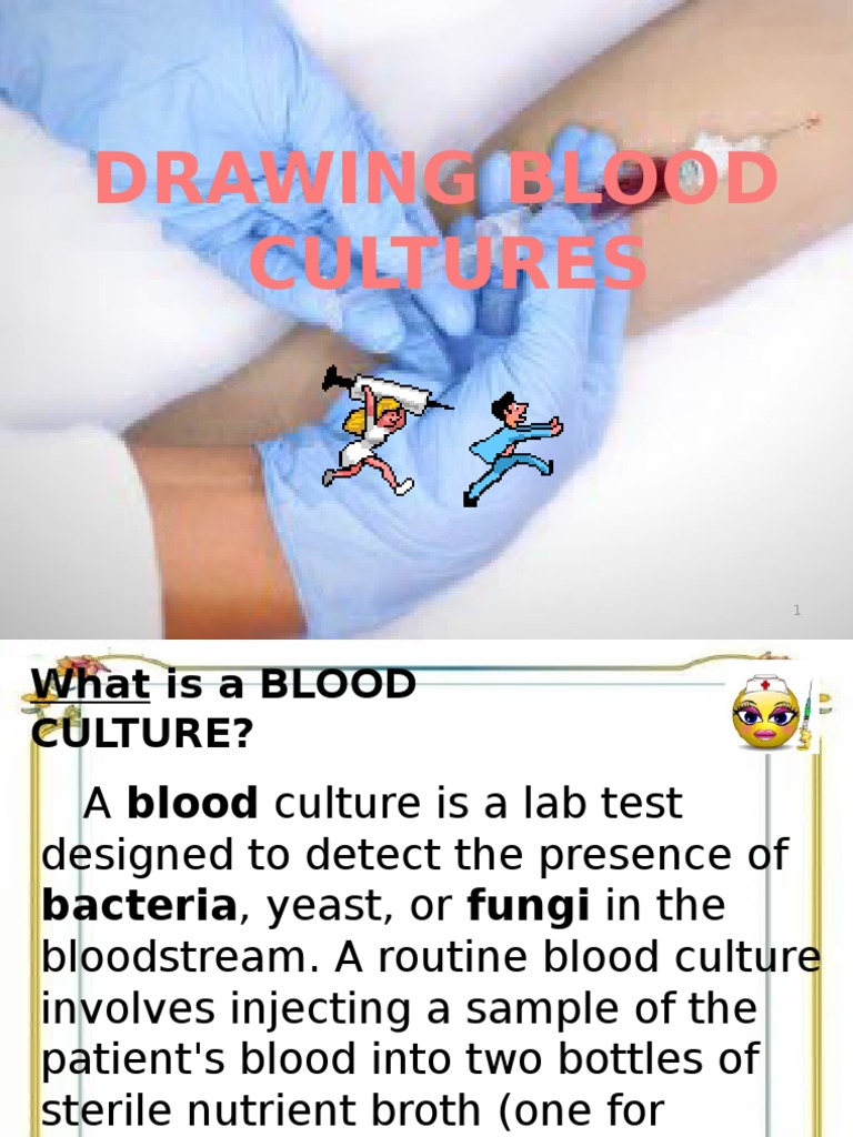Blood Culture | PDF | Infection | Biology