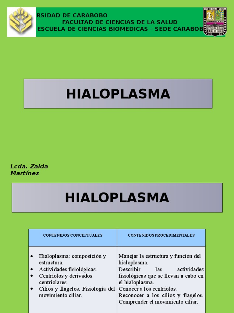 Hialoplasma | Citoplasma | Citoesqueleto