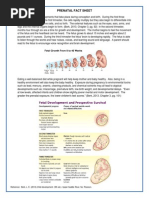 PNDT Form F | PDF | Medical Ultrasound | Fetus