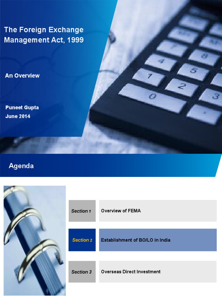 Overview On FEMA Presentation | PDF
