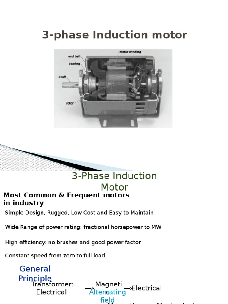 Induction Motor 1 | PDF | Science & Mathematics | Technology & Engineering