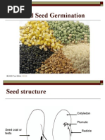 Seed Germination Report Sample (Easy) | Seedling | Seed