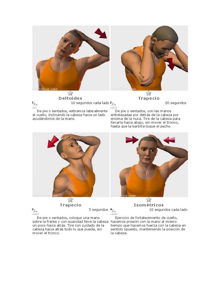 Banco De Estiramientos Pdf Pie Hombro