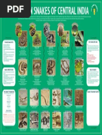 Awareness Safety Talk SNAKE HAZARDS | PDF | Snake | Venomous Snakes