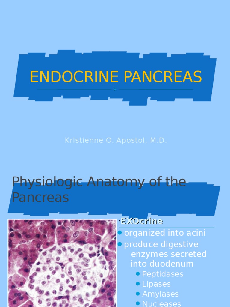 ENDO) Pancreas. For The Class | PDF | Pancreas | Insulin