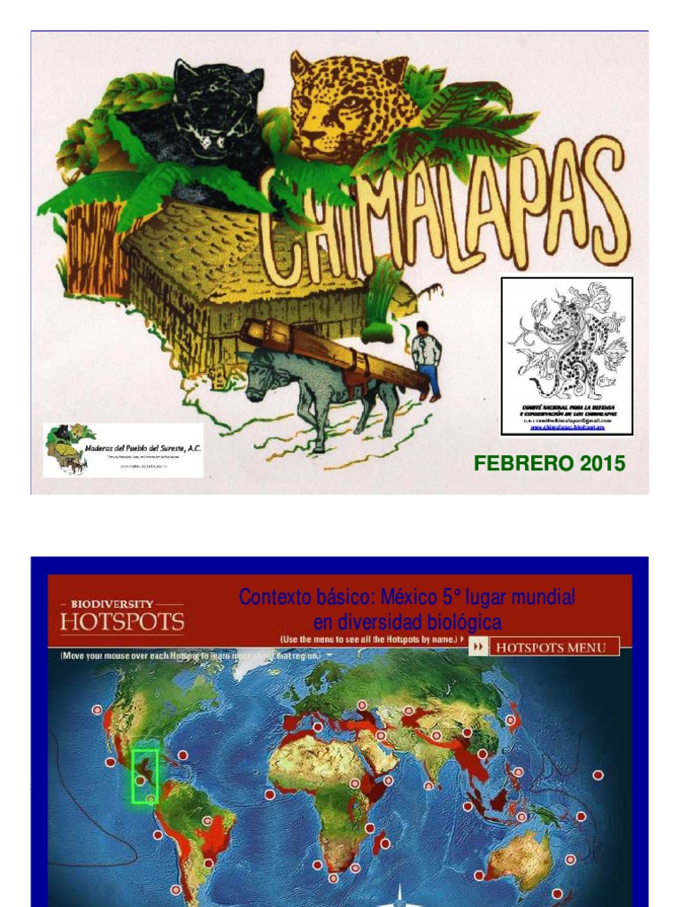 Chimalapas y Biodiversidad en México | PDF | Chiapas | México