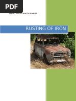 Rusting of Iron - Project | PDF | Rust | Iron
