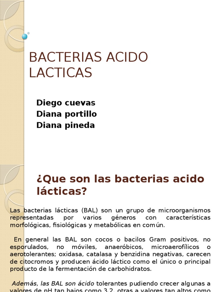 Bacterias Acido Lacticas | PDF