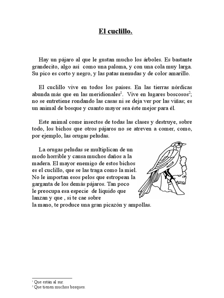 El cuclillo: guardián del bosque | PDF