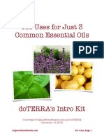 Build Guide Rank Planner doTERRA | PDF | Multi Level Marketing | Mentorship