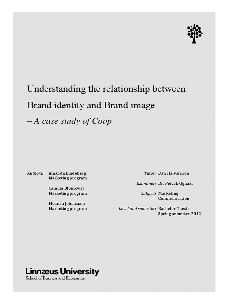 Brand Identity and Image | PDF | Brand | Conceptual Model