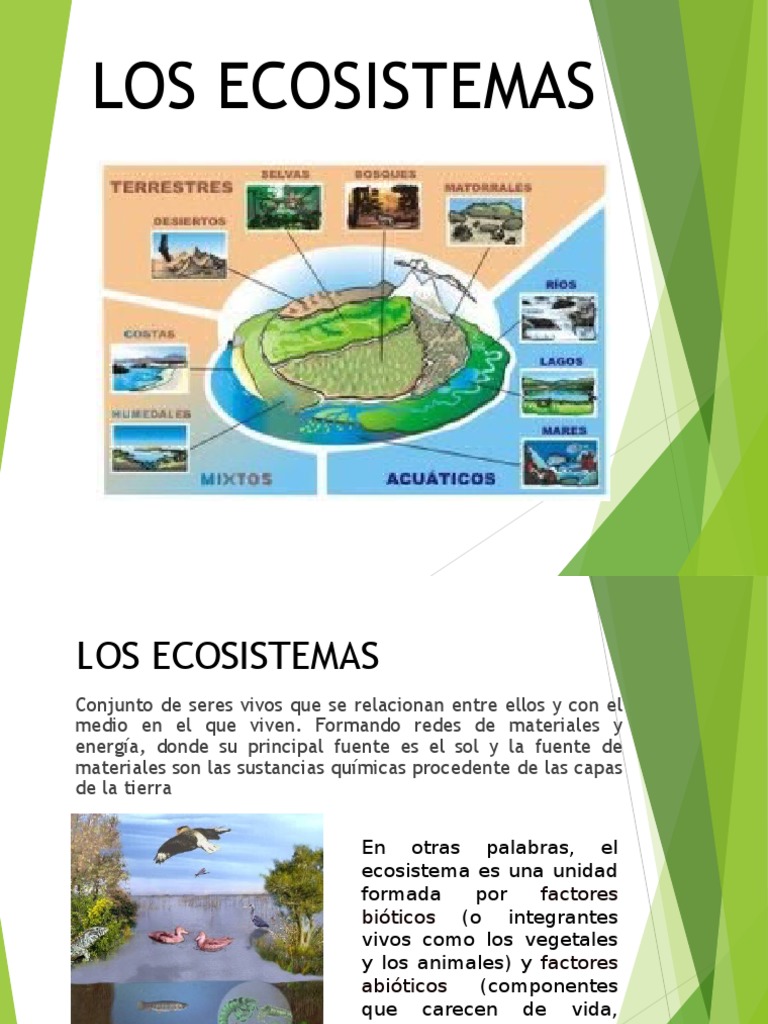 Los Ecosistemas | PDF | Ecosistema | Organismos