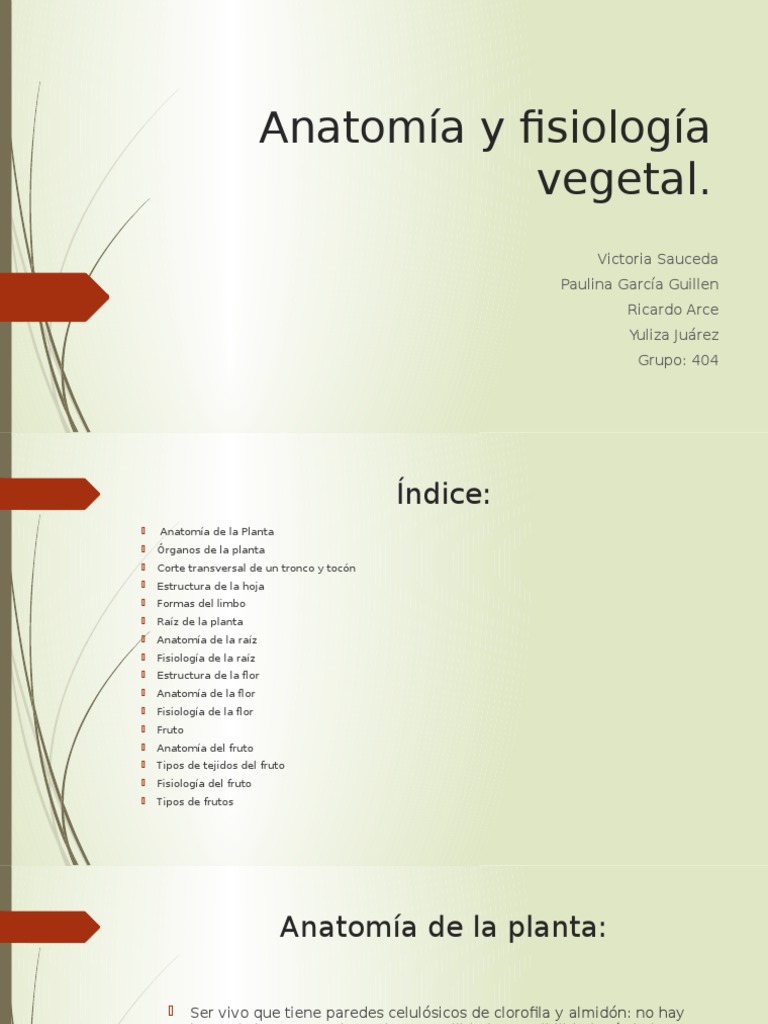 Anatomía y Fisiología Vegetal | PDF | Raíz | Semilla