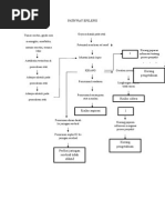 Pathway Penyakit Jantung Bawaan | PDF