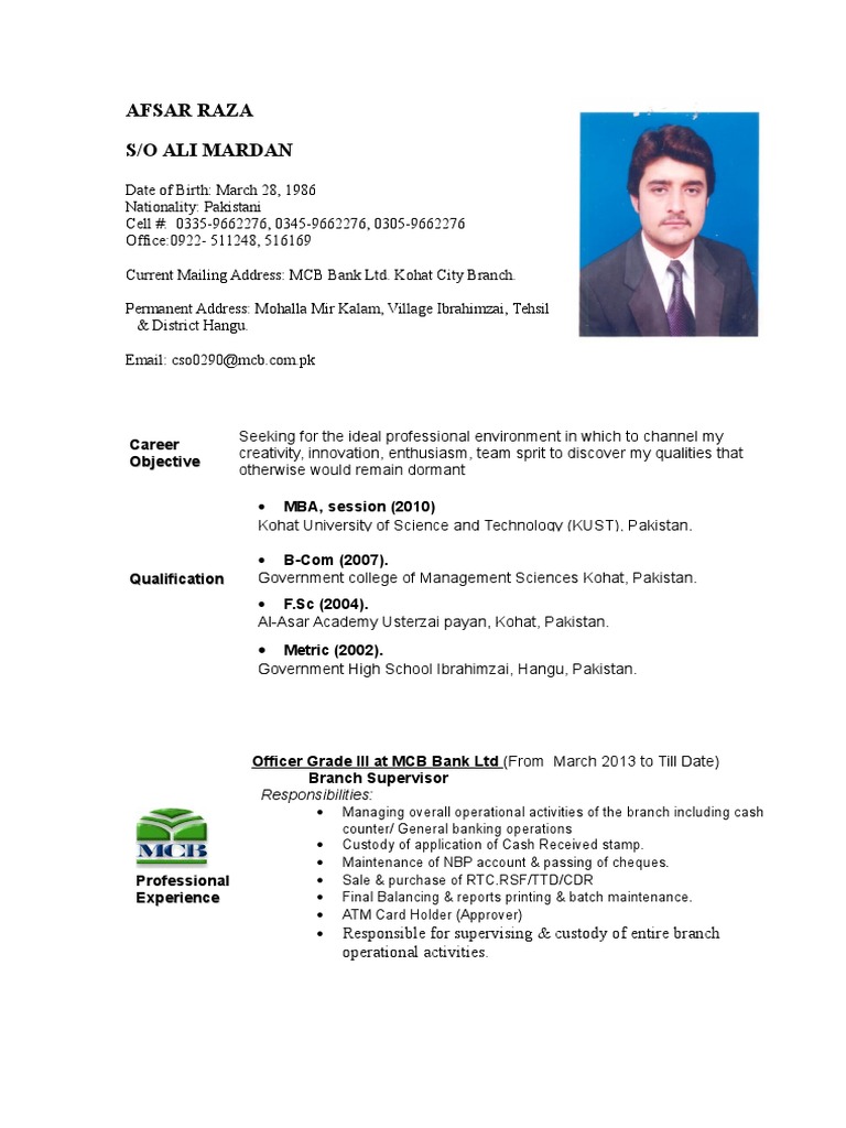 Afsar Raza CV | PDF | Automated Teller Machine | Banks