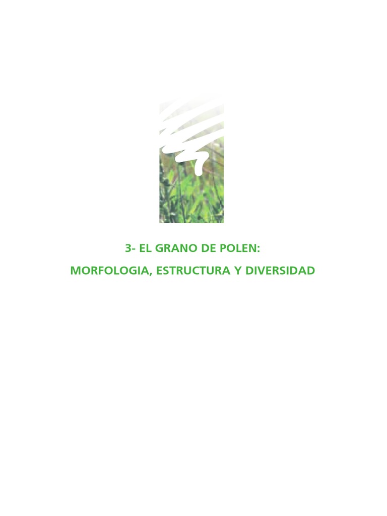 Morfología y Estructura del Polen | PDF | Polen | Flores