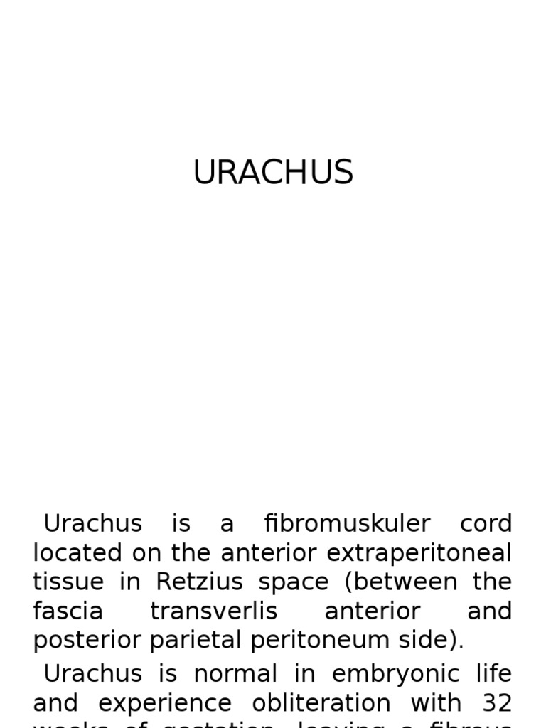 URACHUS ppt | Urinary Bladder | Epithelium