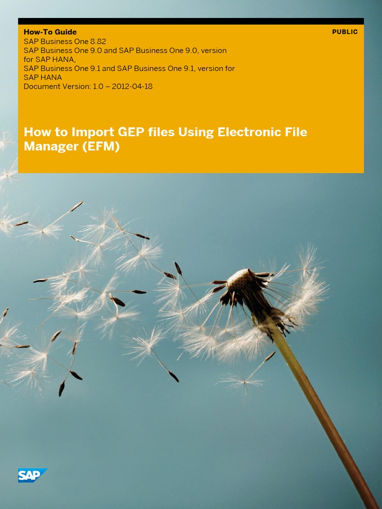 How To Import GEP Files Using EFM | PDF | Computer File | Software