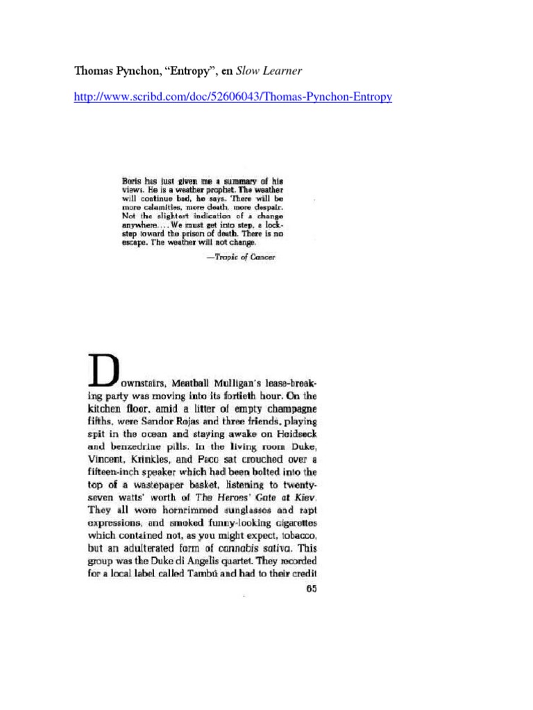 Entropy, Thomas Pynchon PDF | PDF