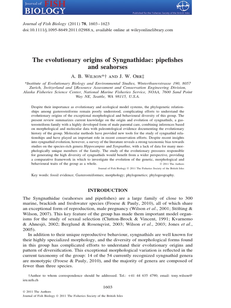The Evolutionary Origins of Syngnathidae: Pipefishes and Seahorses ...