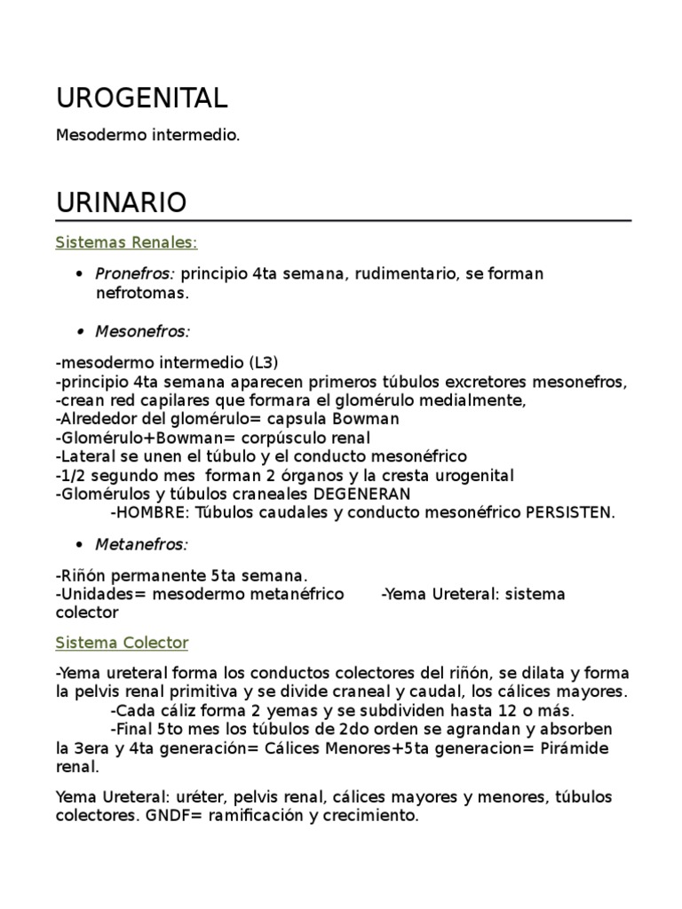 Urogenital Embriologia-Resumen | PDF | Riñón | Sistema urinario