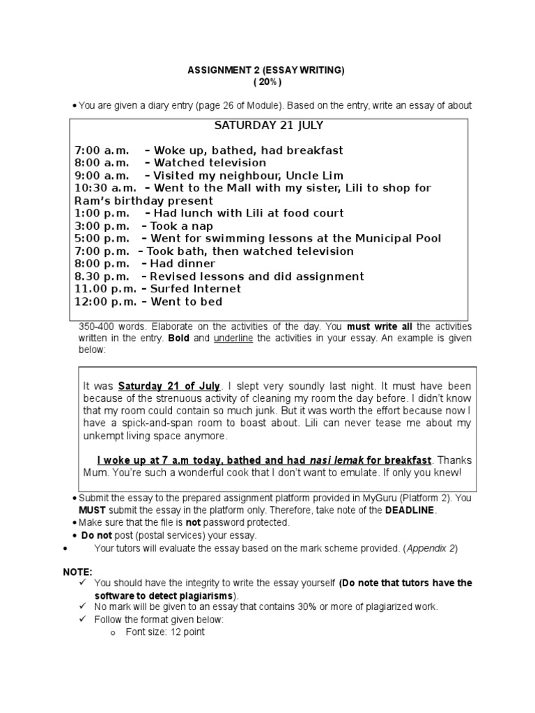 Essay Writing Assignment Guidelines | PDF