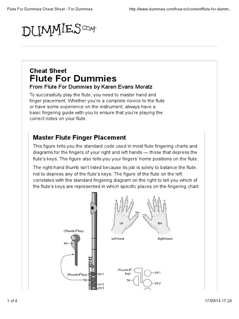Flute For Dummies Cheat Sheet - For Dummies | PDF | Flute | Business