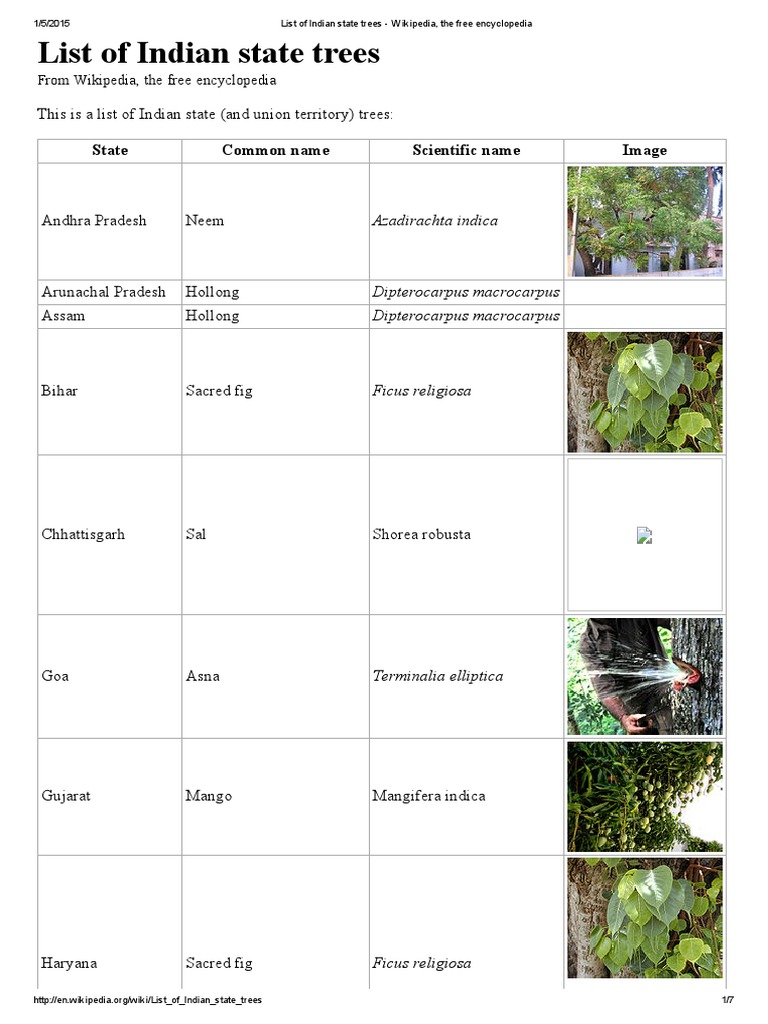 List of Indian State Trees | PDF | Botany | Horticulture And Gardening