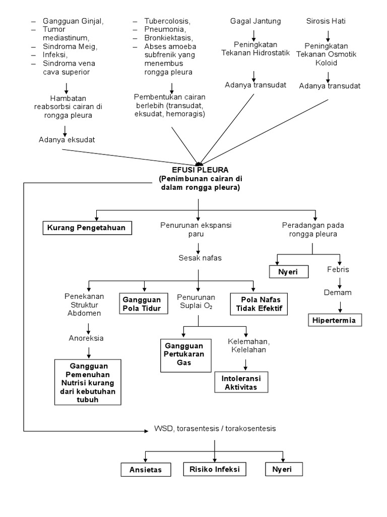 Pathway Efusi Pleura