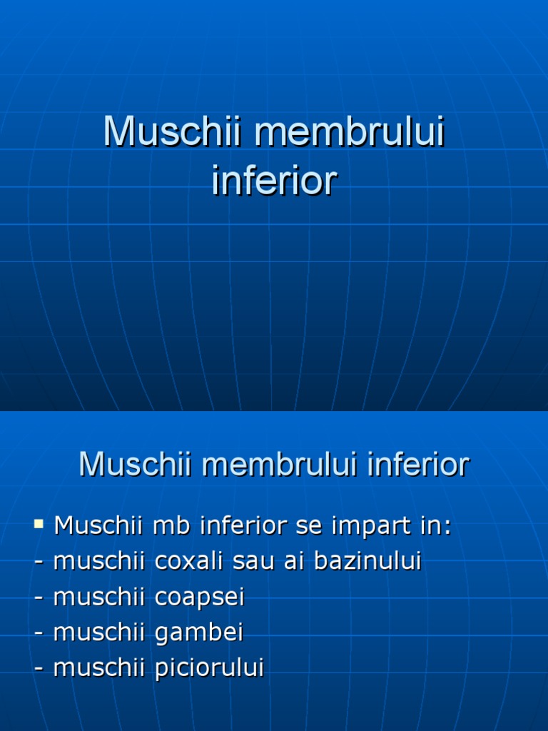 Muschii Membrului Inferior