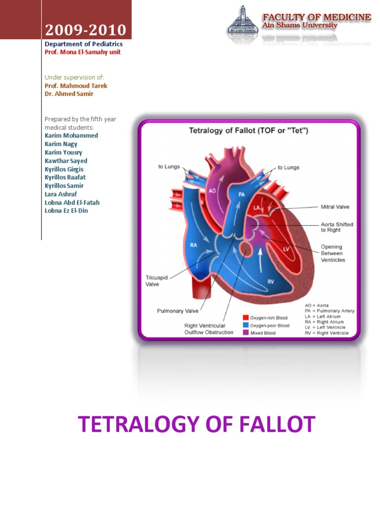 Fallot Tetralogy | PDF | Congenital Heart Defect | Cardiology