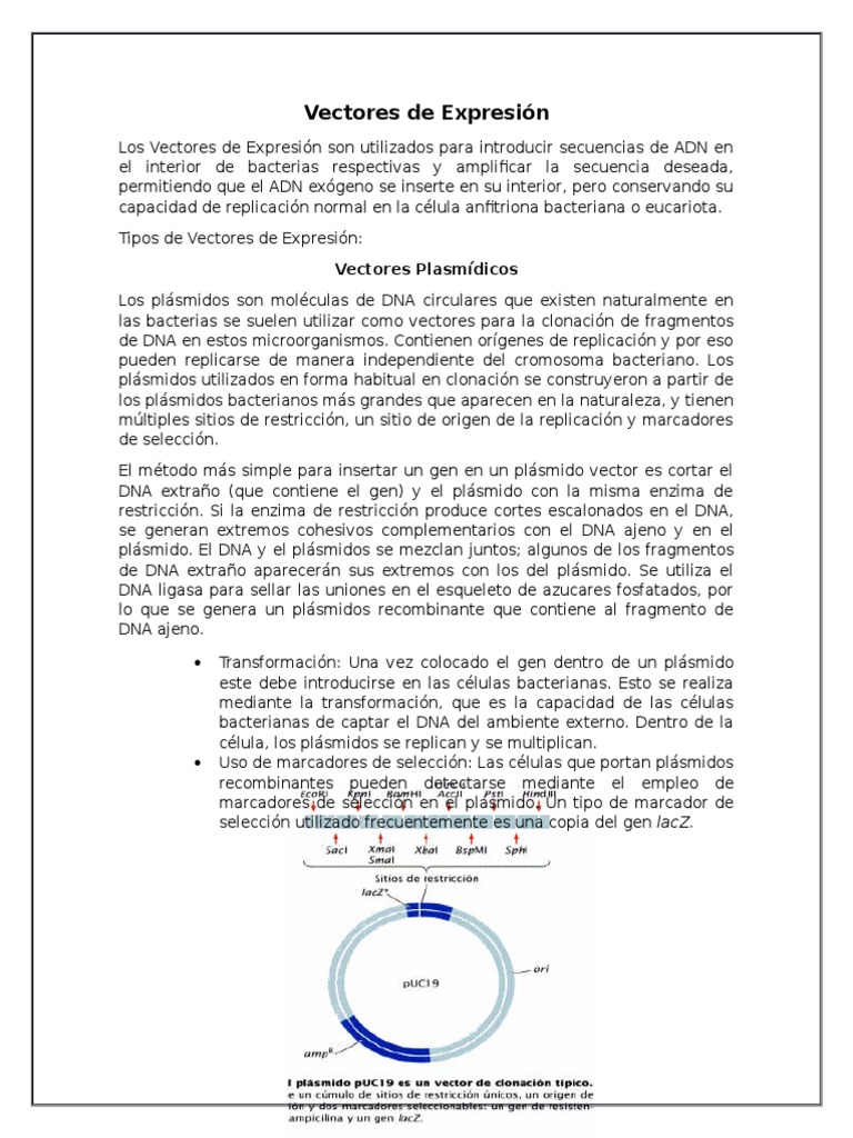 Vectores de expresión bacterianos: Plásmidos, bacteriófagos y cósmidos ...