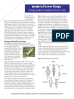 Flometoquin | PDF | Pesticide | Insecticide