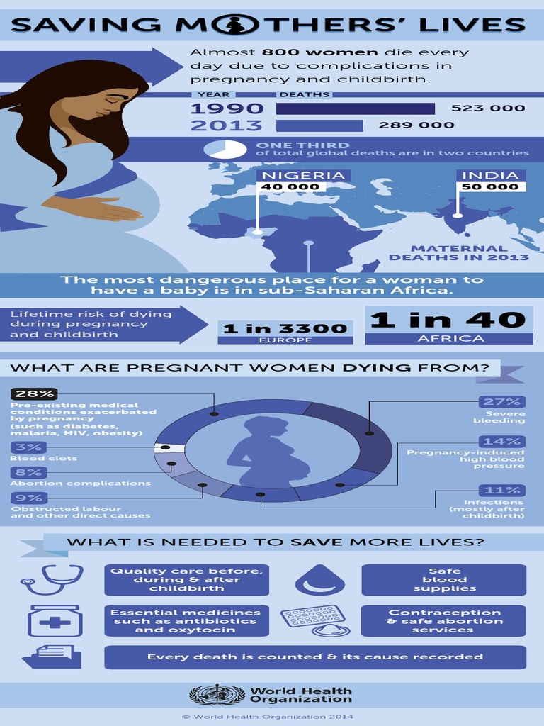 Maternal Mortality Infographic | PDF