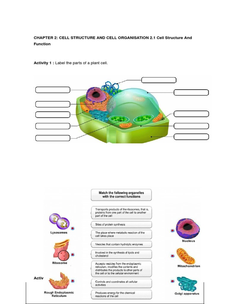 Chapter 2: Cell Structure and Cell Organisation 2.1 Cell Structure and ...