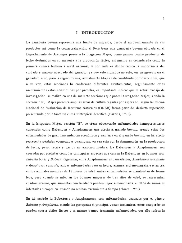 Prevalencia de La Babesiosis y Anaplasmosis en Ganado Bovino de La ...