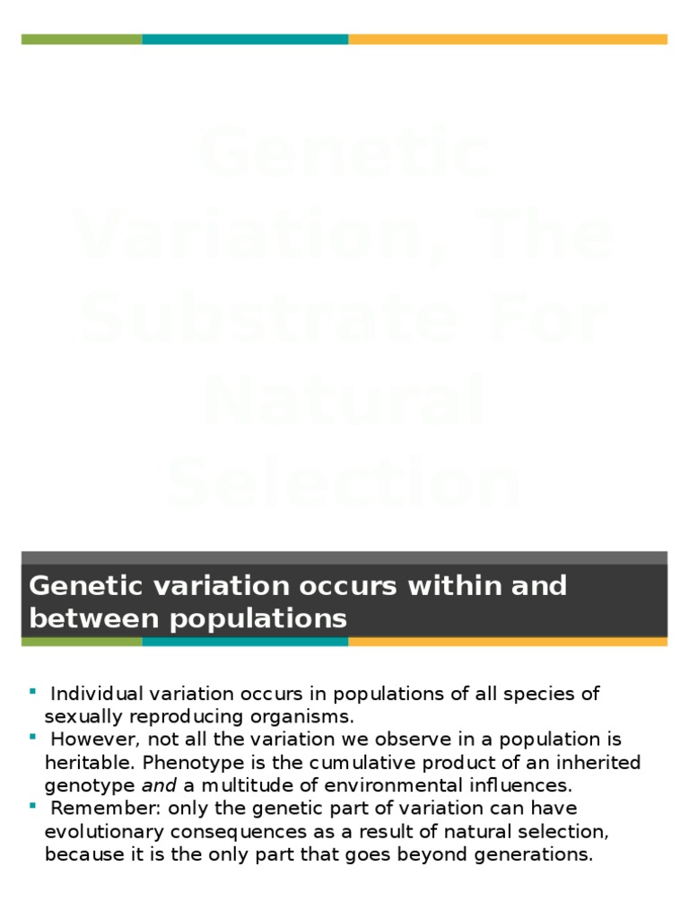 AP Biology Chapter 23 Presentation | PDF | Polymorphism (Biology ...