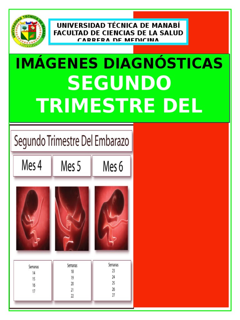 Segundo Trimestre de Embarazo