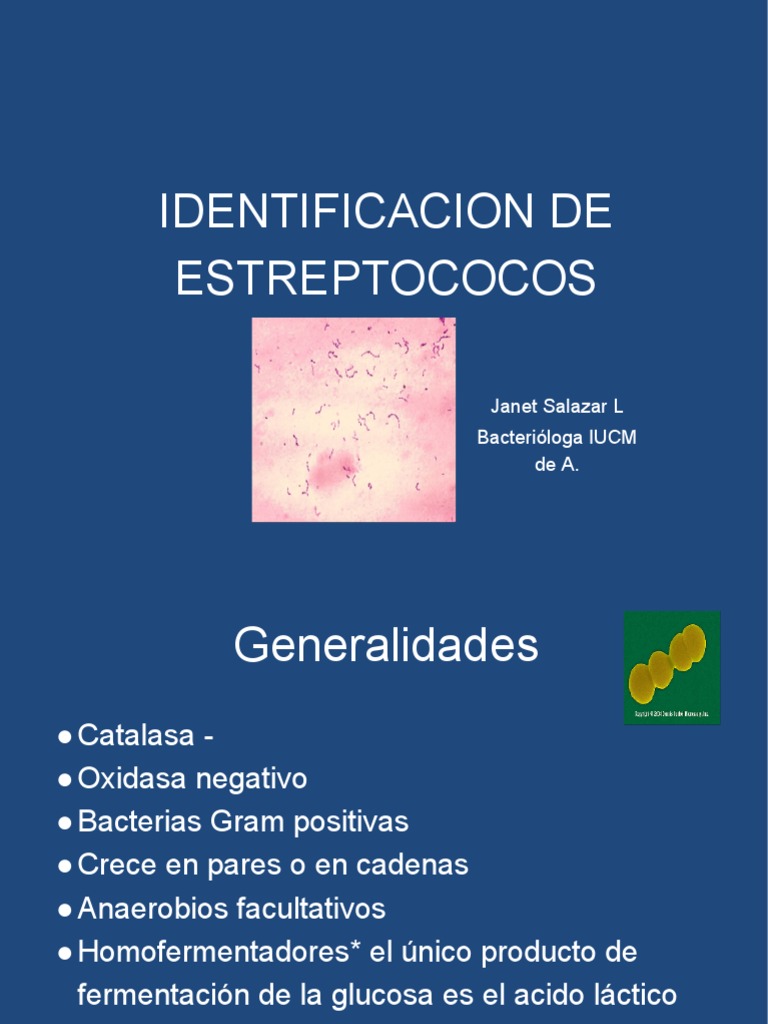 Identificacion de Estreptococos | Estreptococo | Microbiología